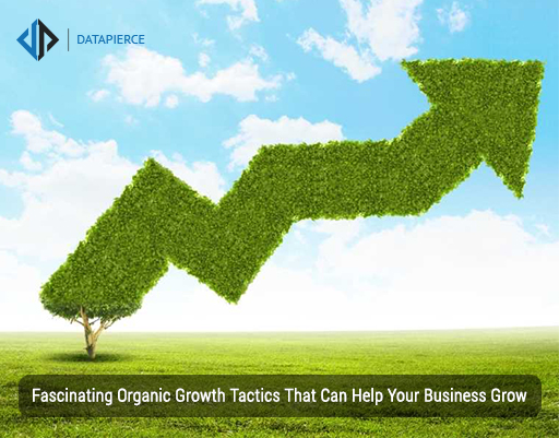 FASCINATING ORGANIC GROWTH TACTICS THAT CAN HELP YOUR BUSINESS GROW
