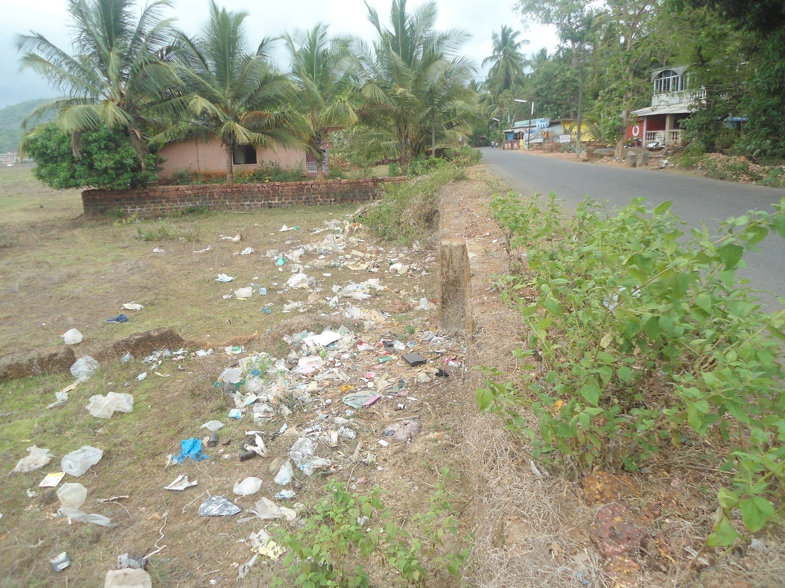 CLEAN GOA- GREEN GOA - PLASTIC FREE GOA