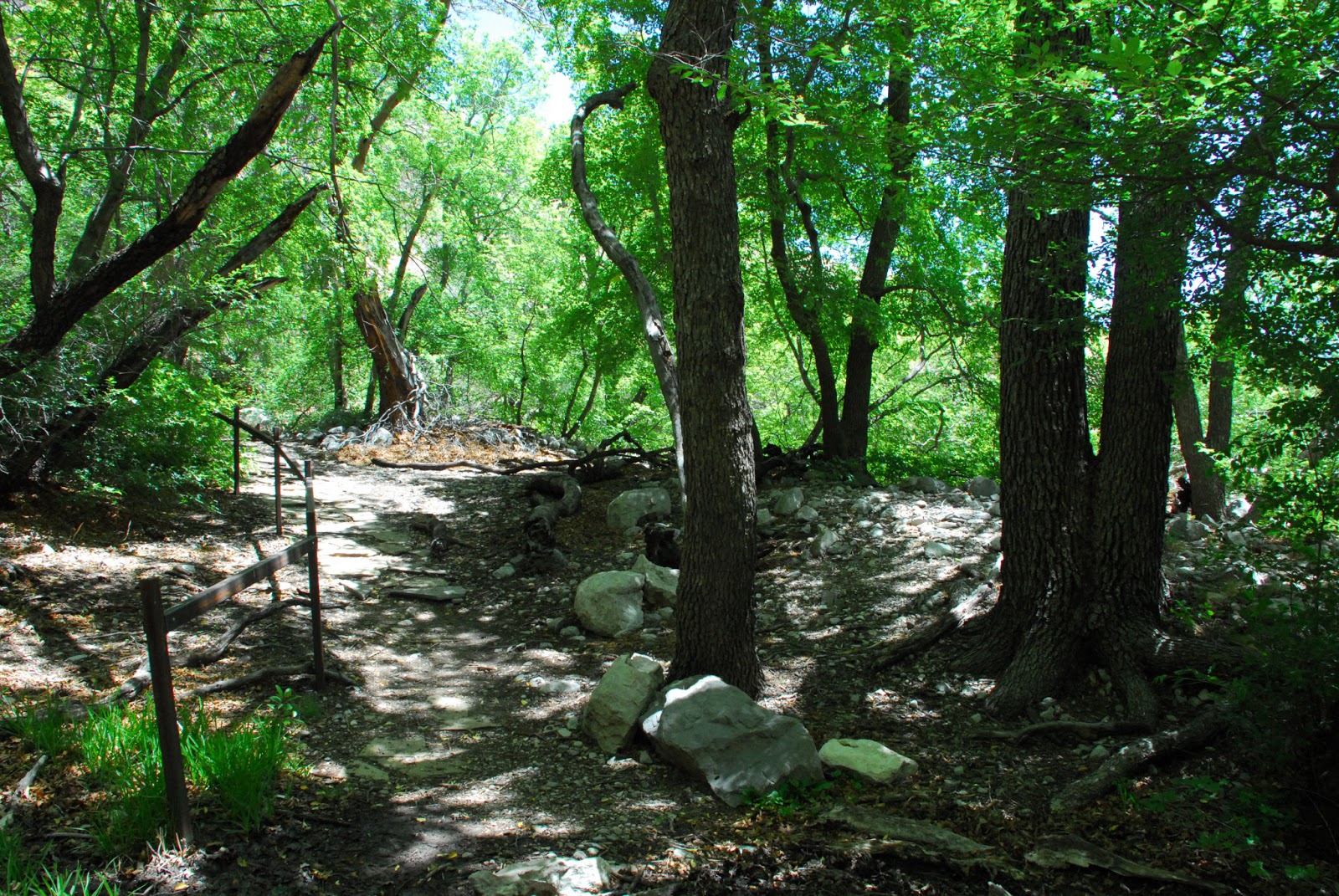 Texas Mountain Trail Daily Photo: 5 Adventure Treks to Historic Texas ...