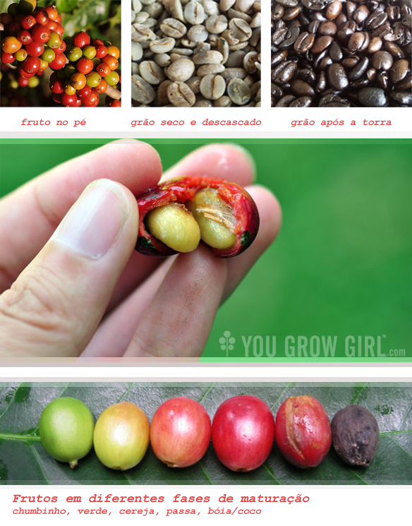 Jeito Café: outubro 2014