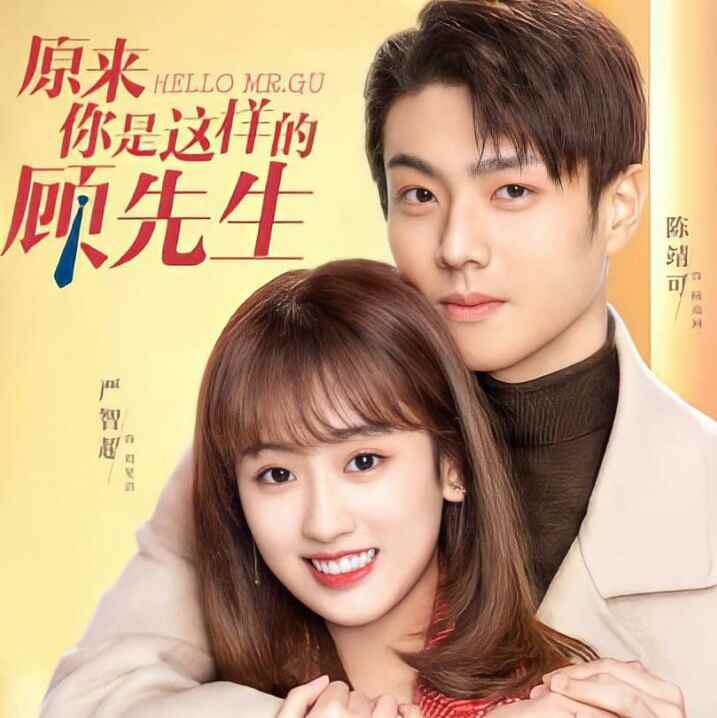 Sinopsis dan Daftar Pemain Drama China Hello Mr. Gu (2021) - Nona Mandarin