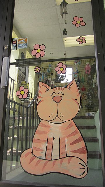 mandeeblogs: Riverdog Doggy Daycare: Window Painting