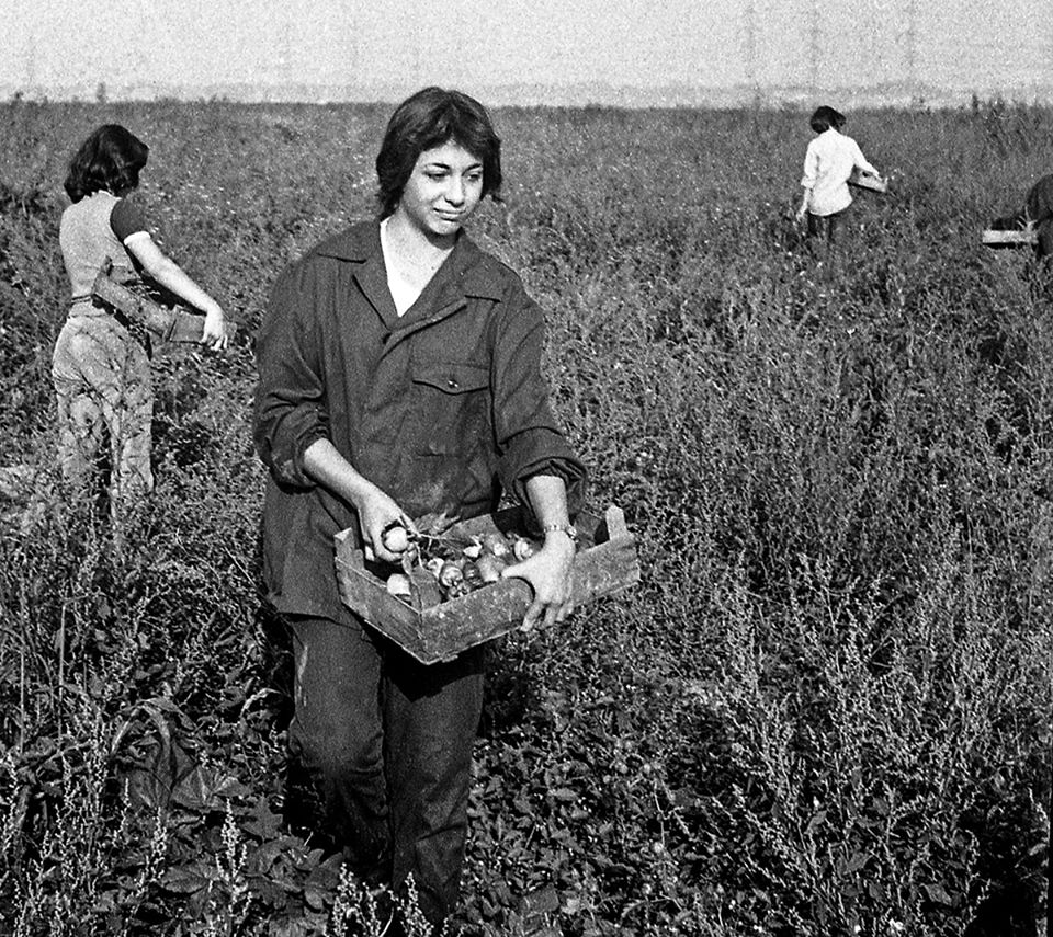 Suntem România! (revistă-magazin independenta): 1884. La munci agricole ...