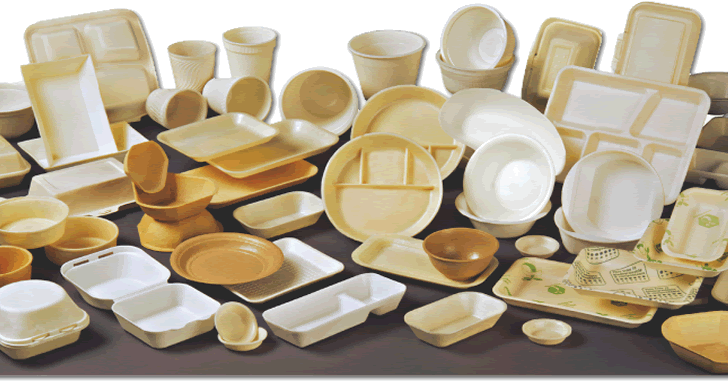 EL MUNDO DE LOS DESECHABLES: ¿Qué son los productos desechables biodegradables?