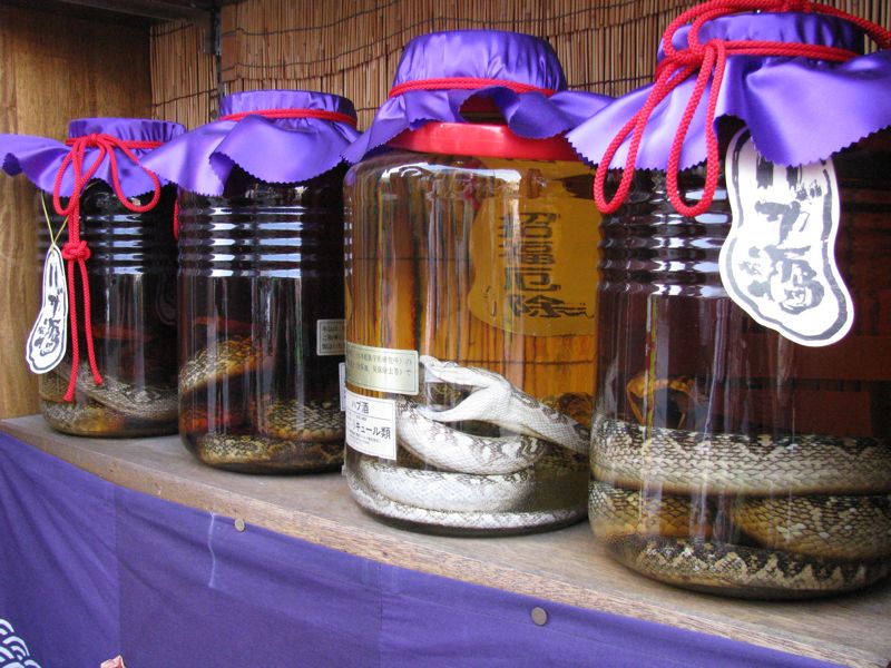 Welcome to Zika Bobby Blog: Japanese Snake Wine: Habu Sake