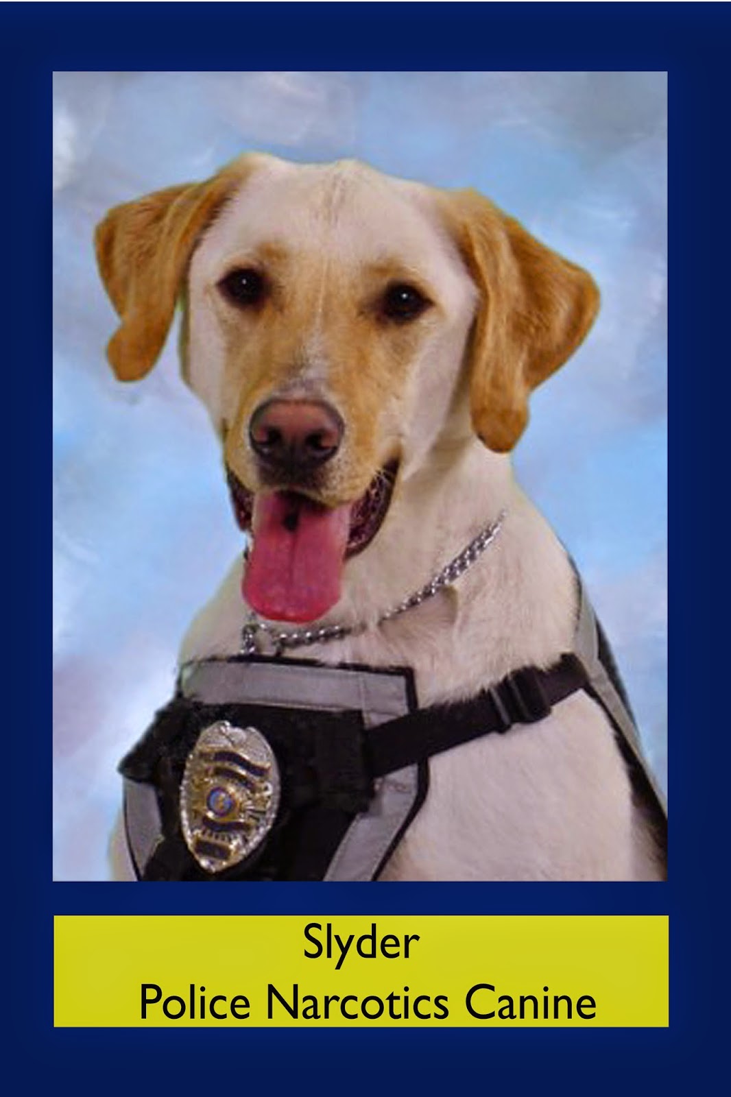 Fife Police Department: K9 Slyder