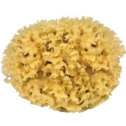 'ZIEN EN WETEN': SPONZEN.