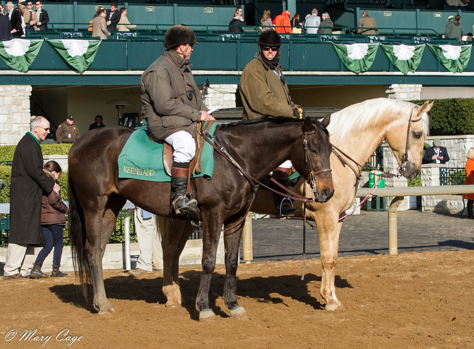 Ponies of the Track - Slinger: More Than Just an Outrider