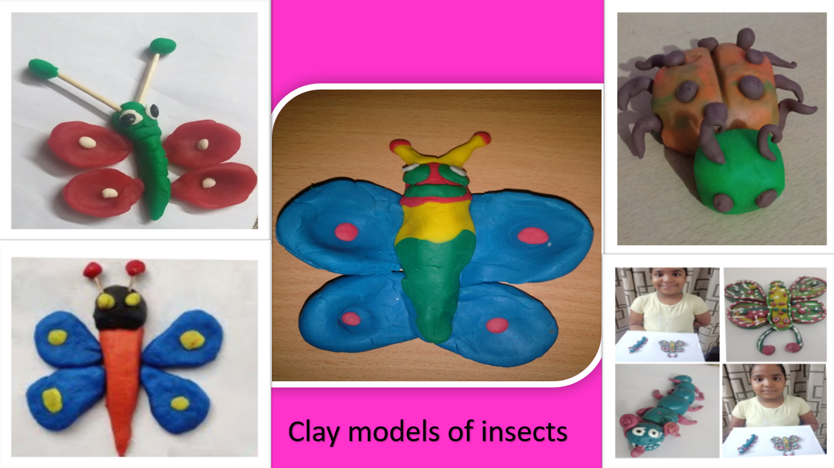 CLASS 4 (2020-21): SCIENCE