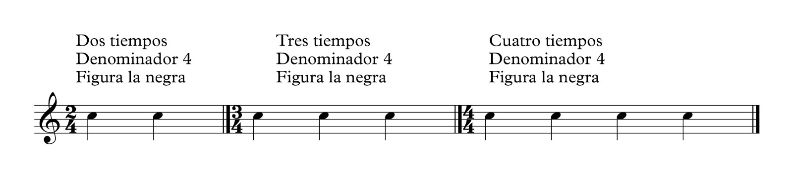 Teoría Musical. Solfeo: El compás en la música