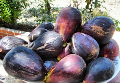 Diario Natural: Las brevas son un superalimento