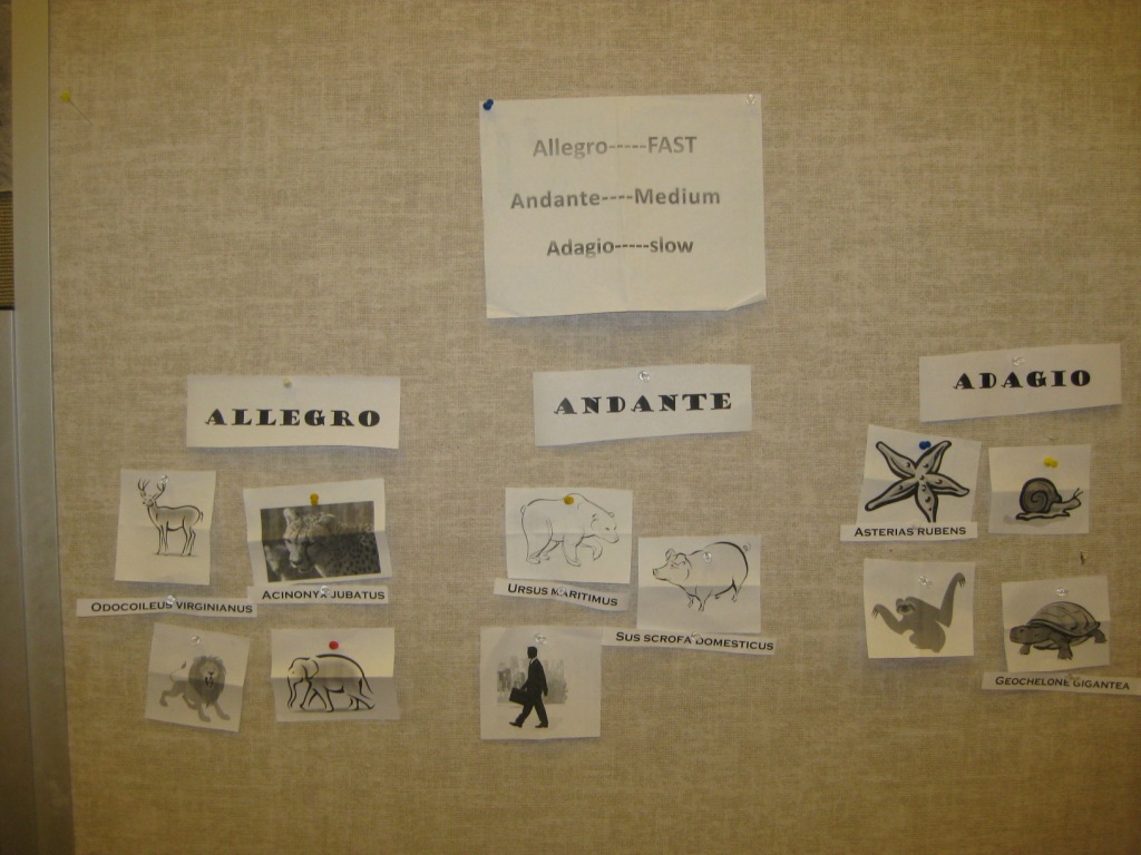 Singing Time Secrets...: Allegro, Andante, Adagio Animals