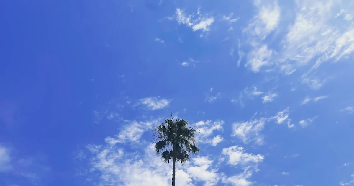 An Open-and-Shut Golf: Edel Golf のハイバウンス・ウエッジ、Digger Grind Sole 58°ロフト