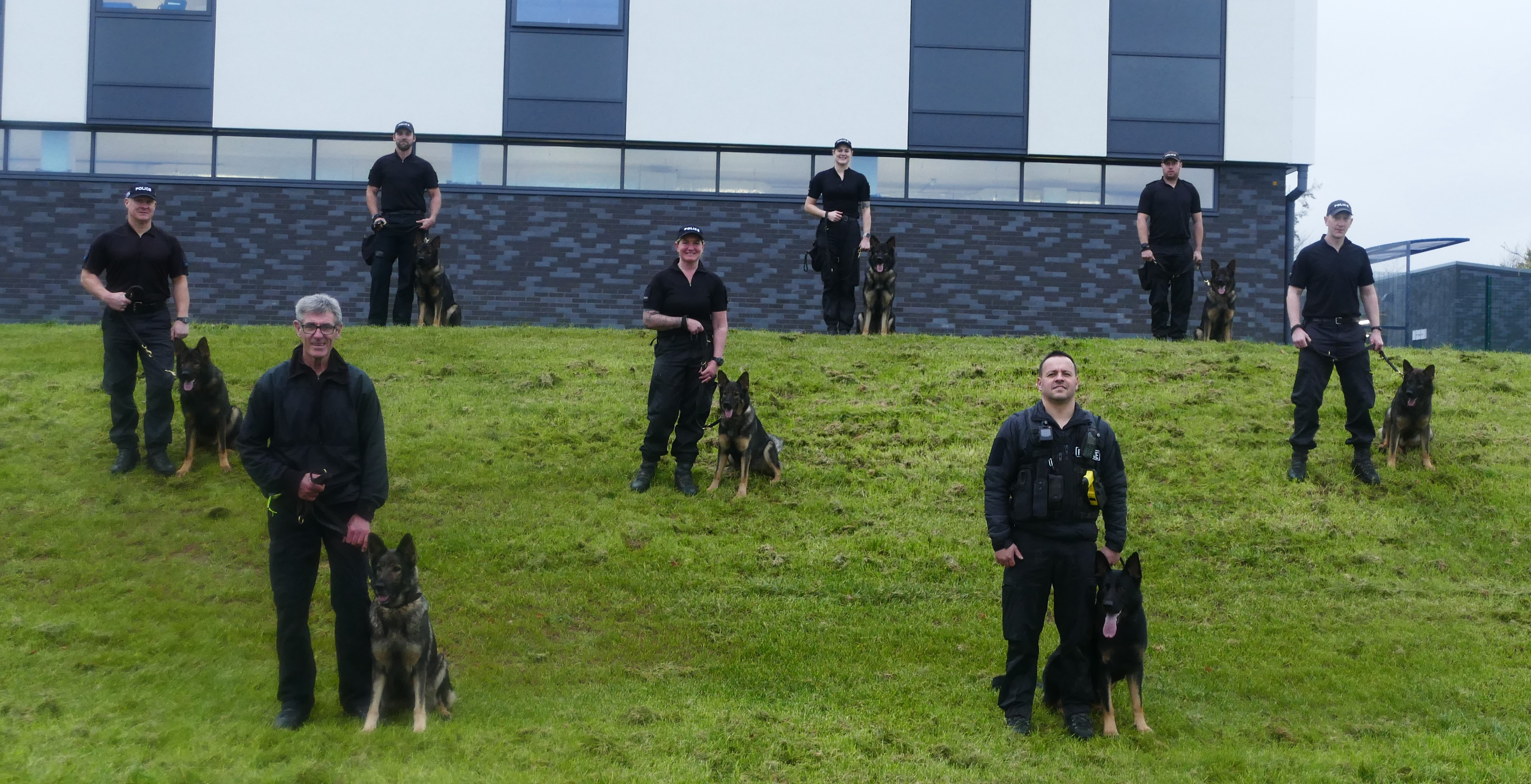 Cornwall, Devon and Dorset Police Dog Section