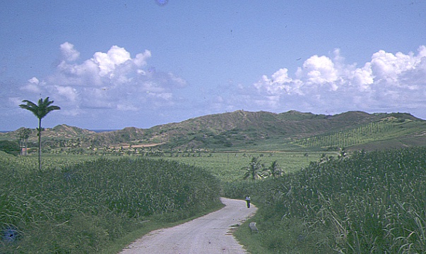 Writing about writing: Rebels and Redlegs