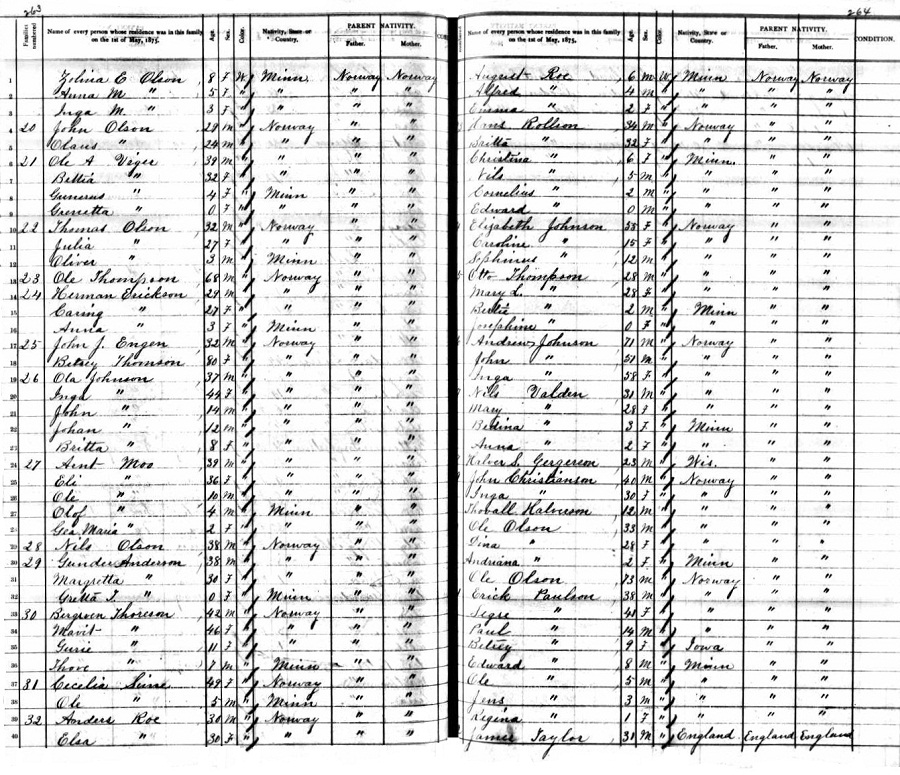 A Roe Blog: 1875 MN Census: Anders ROE Family