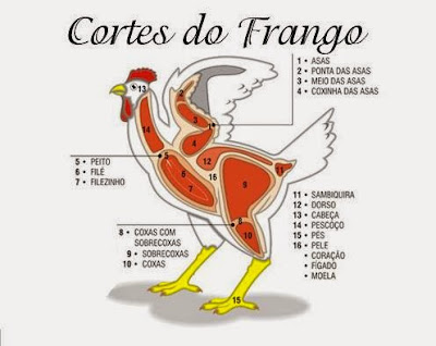 CRIAÇÃO DE ANIMAIS: Frango colonial: preparo para o mercado