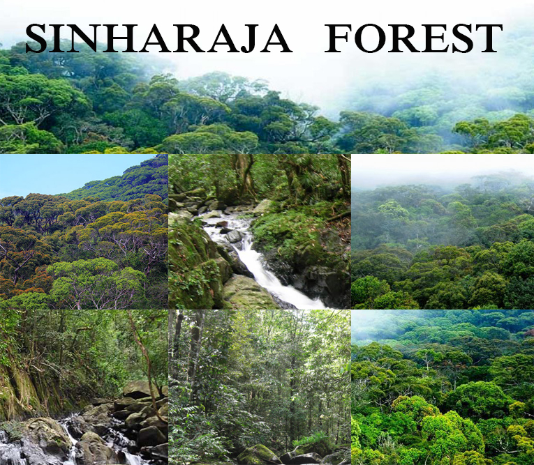 සිරිලක: සොබා සිරි