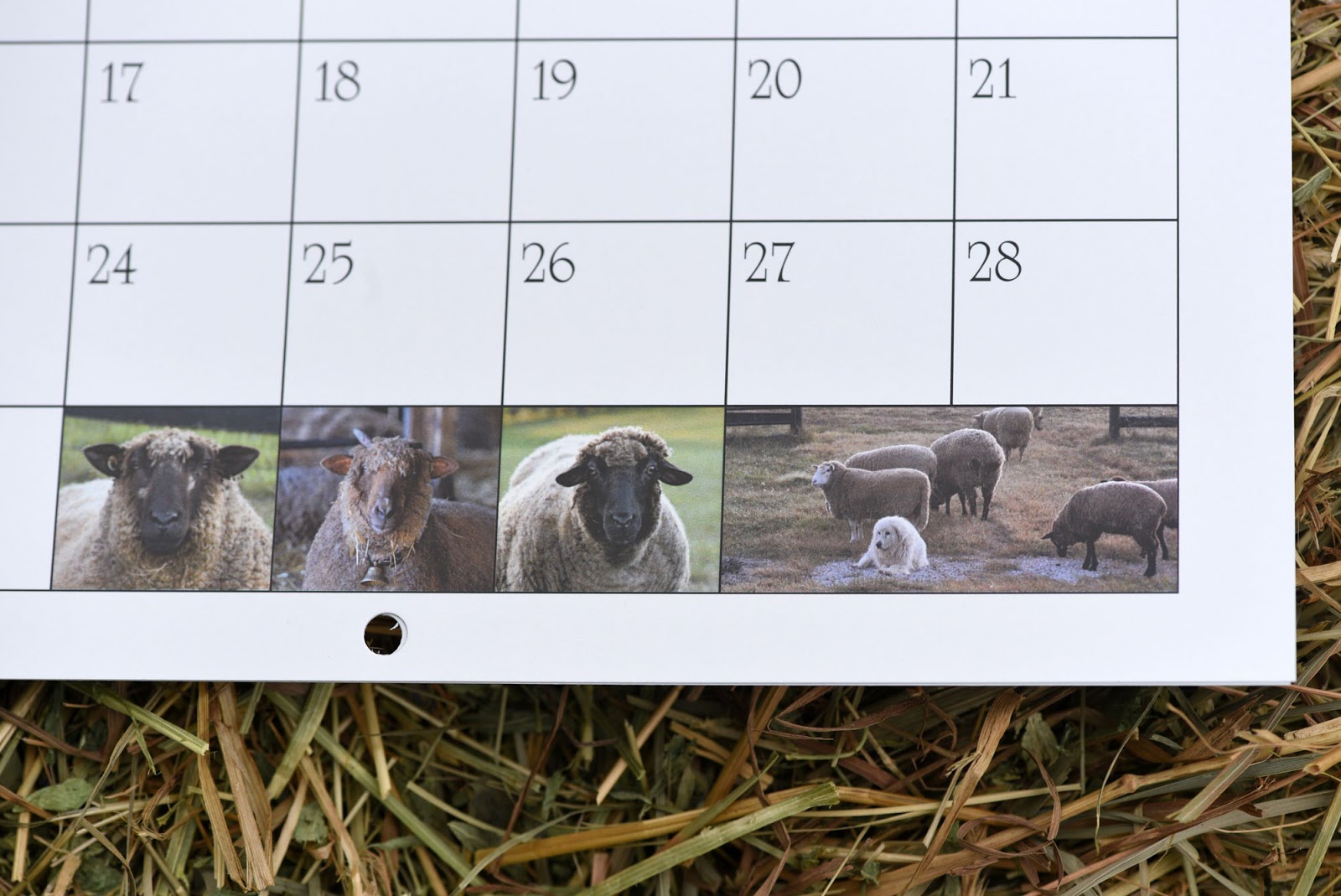 Punkin's Patch: The 2020 Calendars
