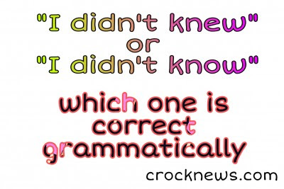 I didn't knew or I didn't know which one is correct grammatically