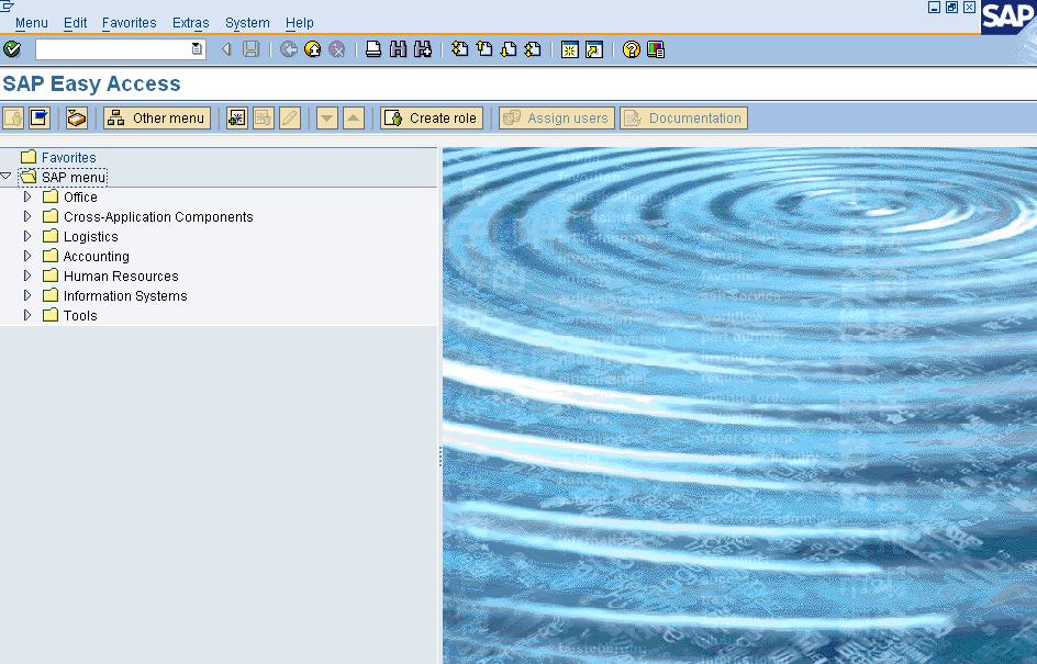 SAP LEARNING and PRACTICING: User Manual SAP
