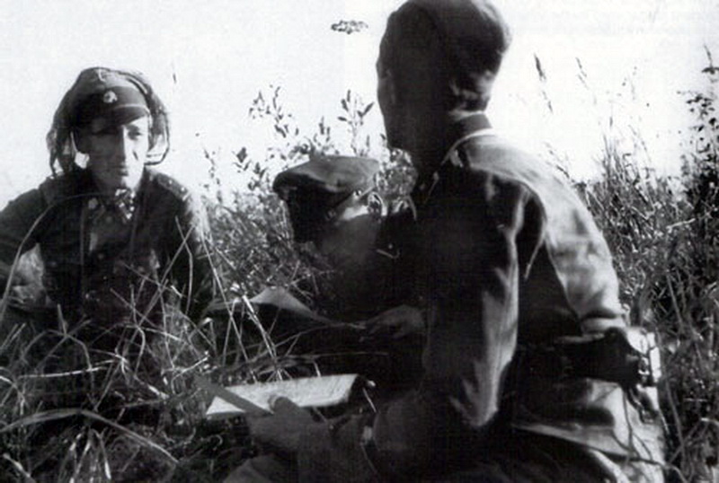 zulfi pepa: Waffen-SS : Pasukan Elite Nazi (1940-1945)