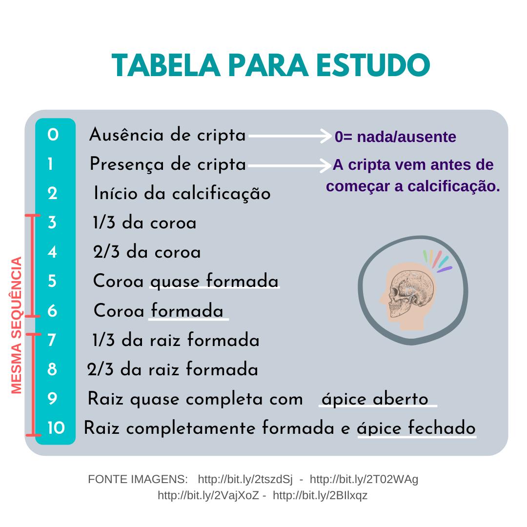 Canal da Odonto: CLASSIFICAÇÃO DE NOLLA