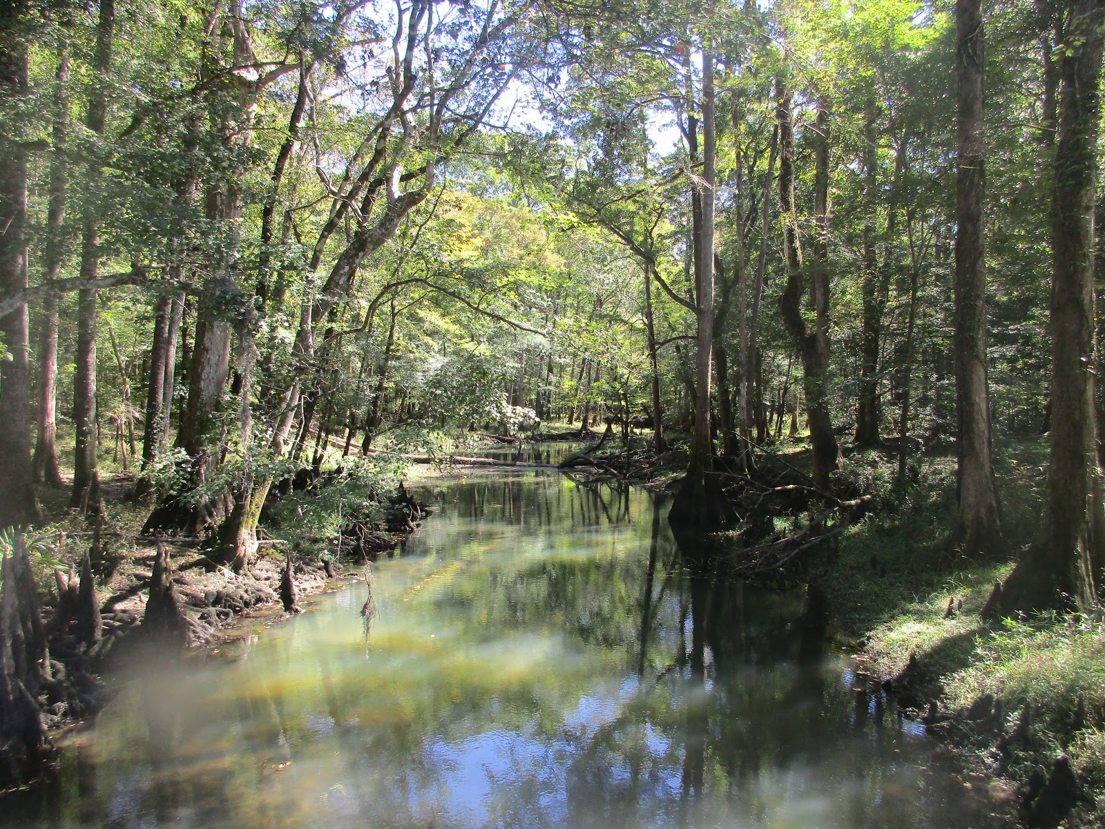 Dave's Yak Tales: Florida Caverns State Park and Ocheesee Pond