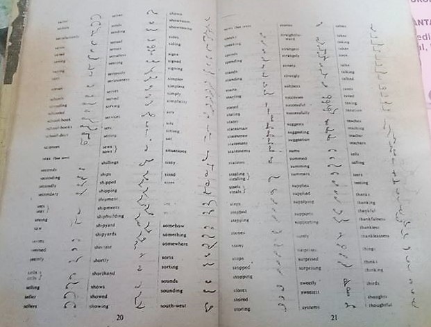 700 Common-Word Reading and Dictation Exercises New Era Edition (Pitman ...