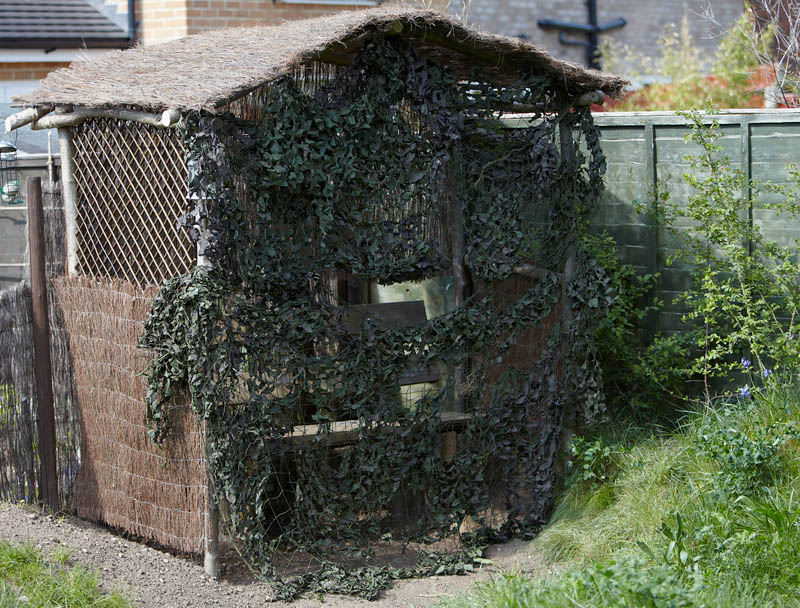 Wildlife Photography across the Water: How to build an 'acceptable ...