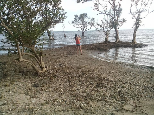 The Wandering Soul Travels : Escapades at Soliyao Beach in Pitogo, Quezon