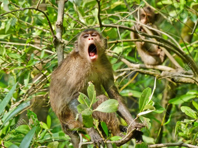 NaitikShiksha.com - Naitik Shiksha - नैतिक शिक्षा - Stories