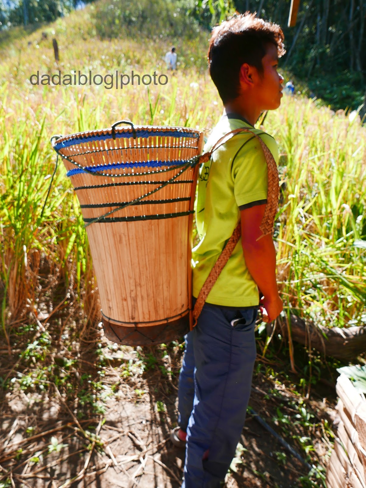 Mixinspiration: Peralatan menuai padi/Tools to harvest the Paddy/Rice