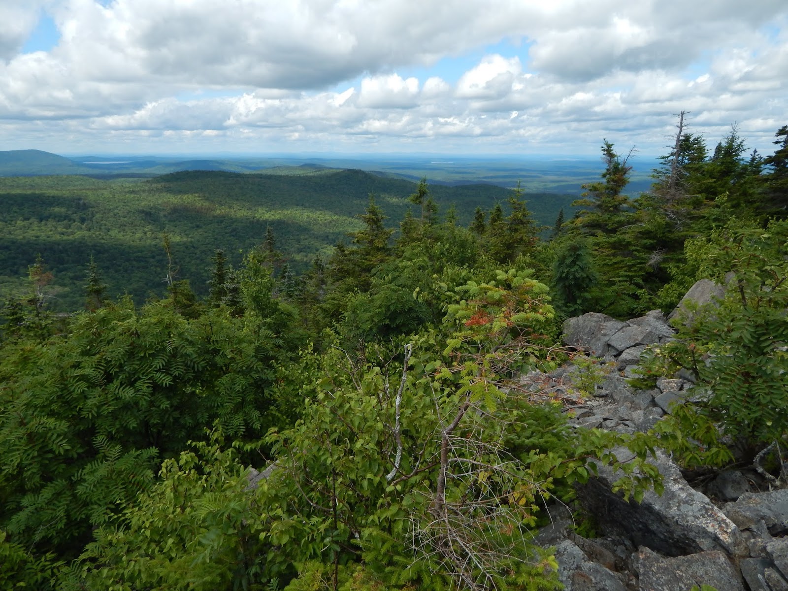 EvanHikes: An Overlooked Summit: Black Cat Mountain