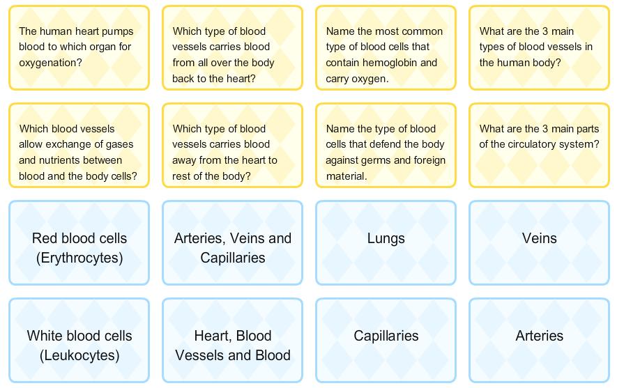 Bilingual school Infanta Leonor: CIRCULATORY SYSTEM GAME.