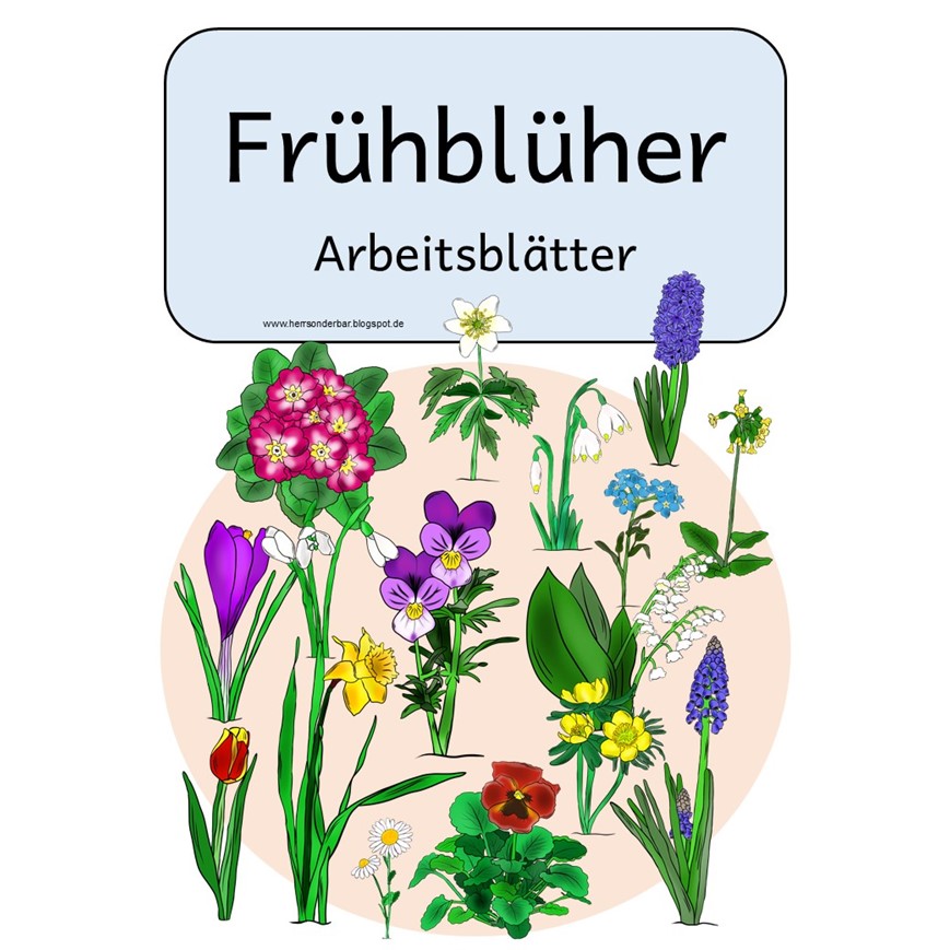 Herr Sonderbar: Frühblüher (weitere Arbeitsblätter)
