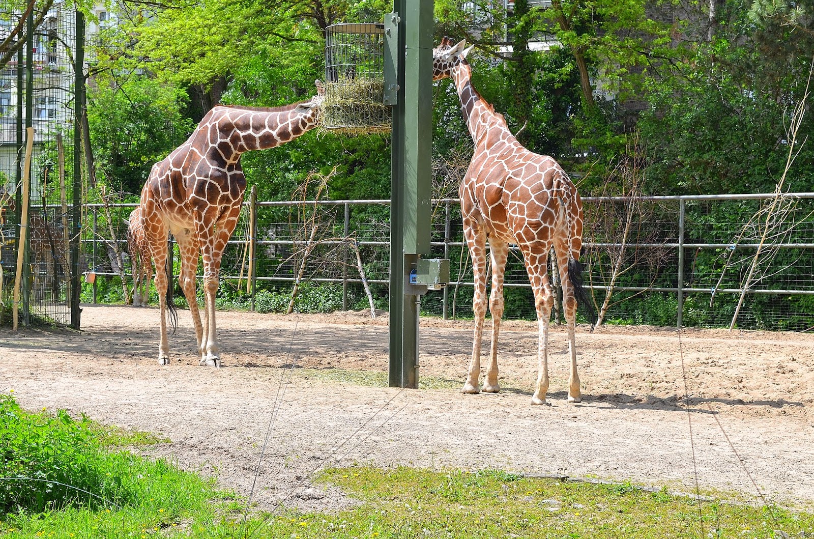 Ab in den Zoo! | BEAUTY MAMI