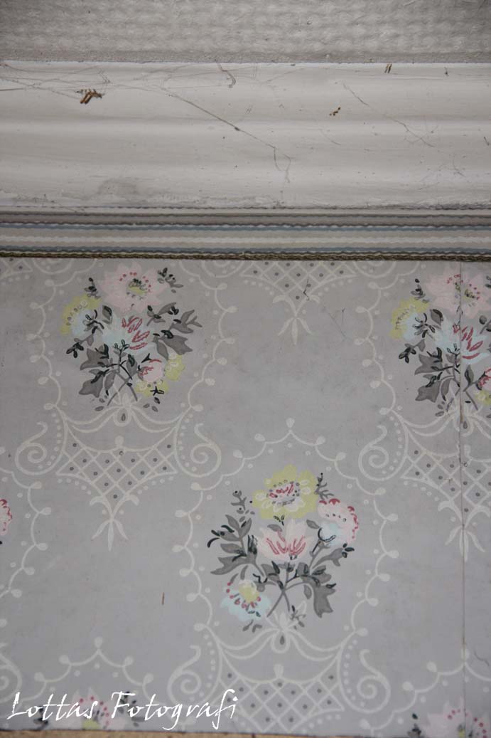 Lottas Fotografi: Gamla tapeter och takrosett