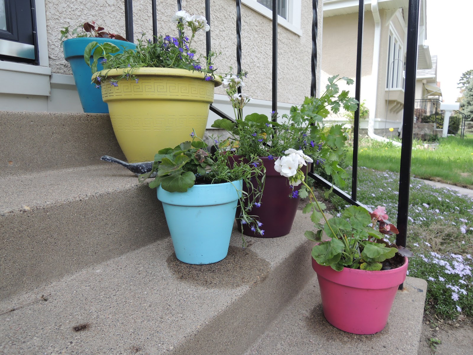 Holly Goes Lightly: Flower Pot Brights