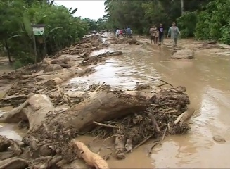 Hutan dan Pengendalian Banjir serta Erosi | Kehutanan