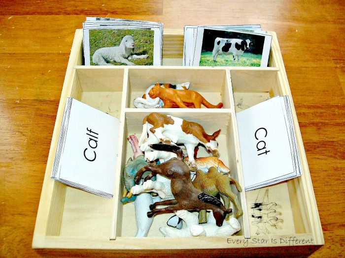 Mammal Activities for Tots and Preschoolers with Free Printables ...