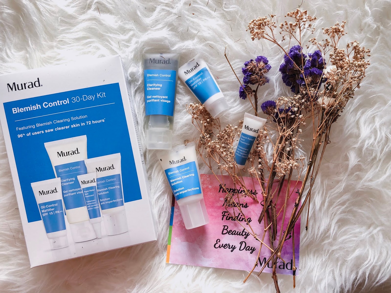 Dr. Murad Blemish control 30 days starter kit - Sherlyn Lifestyle ...