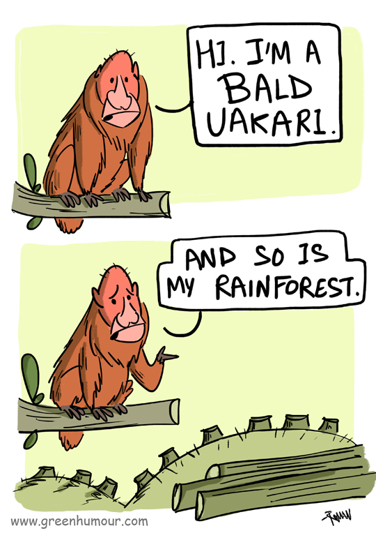 Green Humour: The Bald Uakari