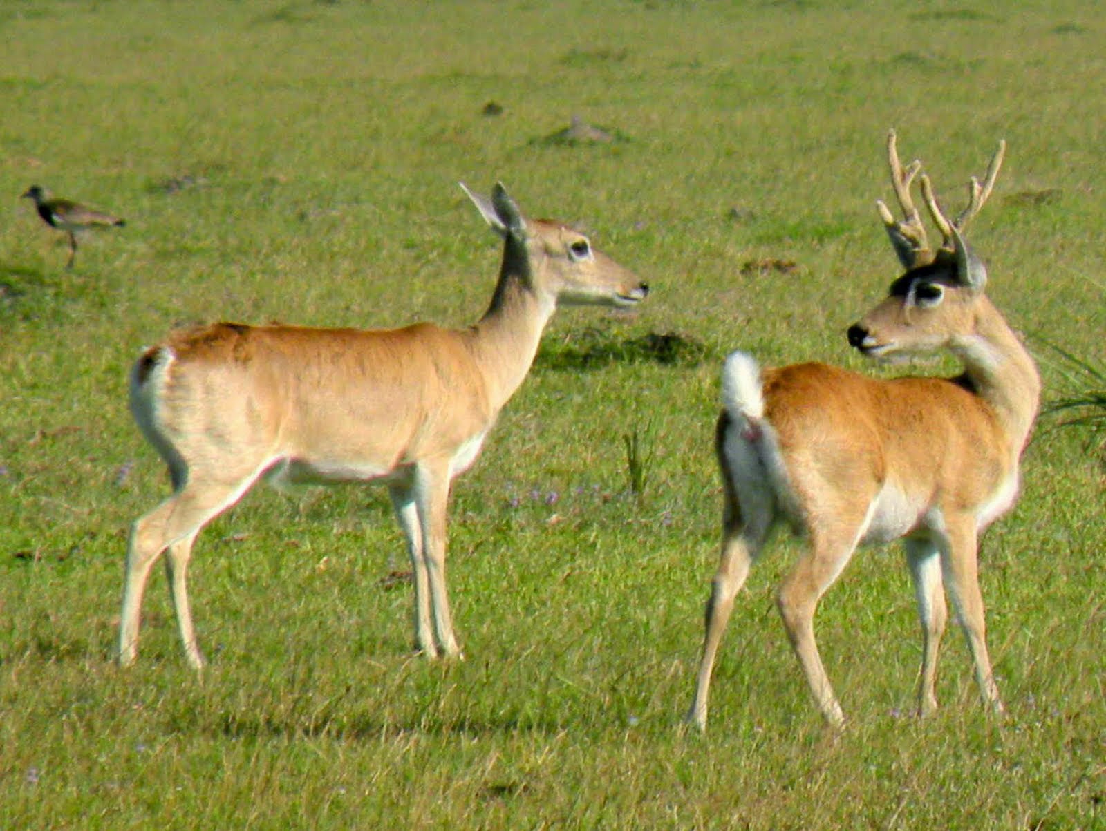 Mi blog, tu blog, nuestro blog...