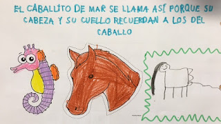 Little Big Heroes: PROYECTO...¡CABALLITOS DE MAR!