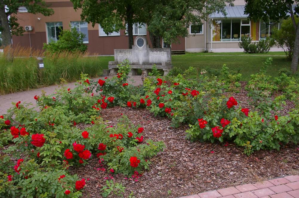 Kolmenimemees: Avastusi Läänemaalt, V