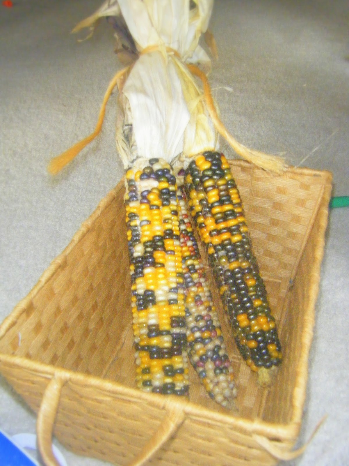 Living and Learning at Home: Indian Corn Necklaces