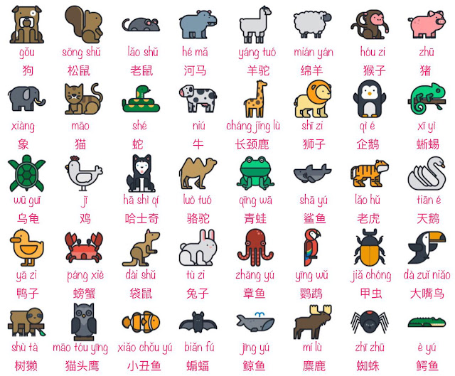 Online Mandarin Learning - Betty's Chinese Word Cards: 动物