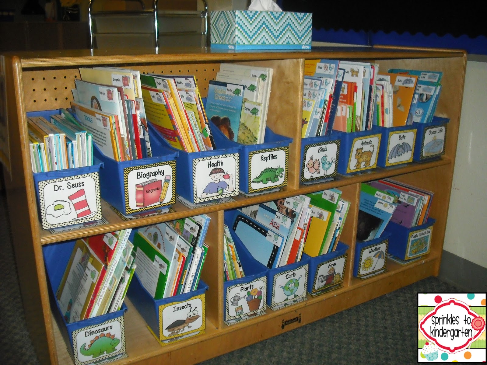 Sprinkles to Kindergarten!: My "buzzy" classroom!