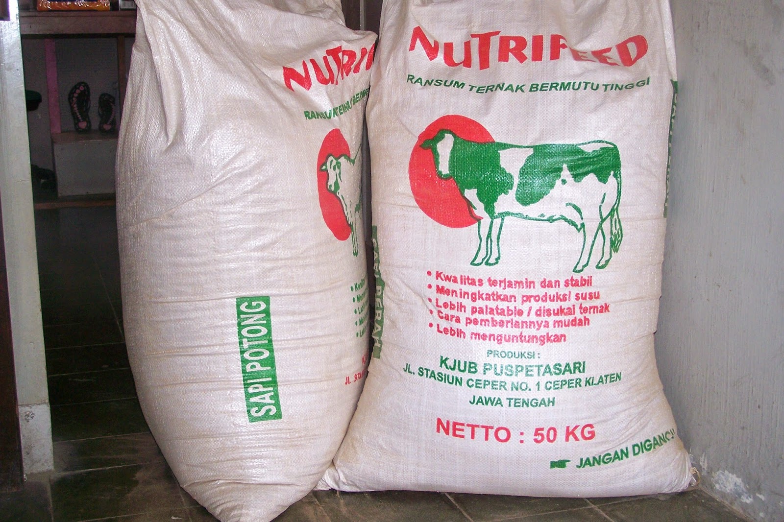 nutrifeed kjub puspetasari